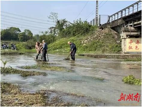 桥驿镇禾丰村多措并举打造“清廉村居”建设 望城 新湖南