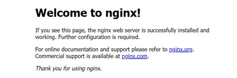 How To Deploy An Node Js Application To A Server With Nginx