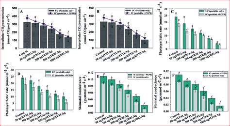 Bio Inoculation Effect Of Pesticide Tolerant Pseudomonas Sp Pgr 11 On