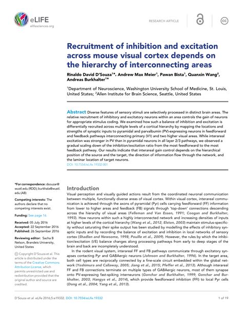 pdf recruitment of inhibition and excitation across mouse visual