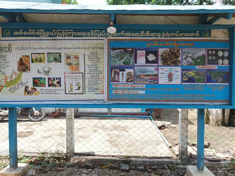 ဆင်ပေါင်ဝဲမြို့နယ် ပြန်ကြားရေးနှင့်ပြည်သူဆက်ဆံရေးဦးစီးဌာန ရုံးမြေစိုက်နံရံကပ်ပြဘုတ်တွင် အပြည်ပြည