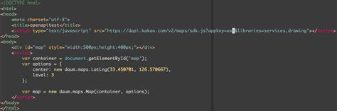 다음 지도 ios 웹뷰 문의 카카오맵 api 지도 로컬 카카오 데브톡