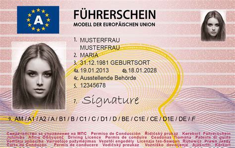 Austrian Driving License Dokumencik