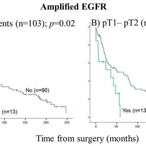 Egfr Amplification Detected In Primary Tumors From Patients With