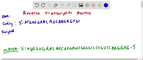 SOLVED The Sequence Of Part Of An MRNA Is 5 AUGGGGAACAGCAAGAGUGGGGCCCUGUCCAAGGAG 3 What Is