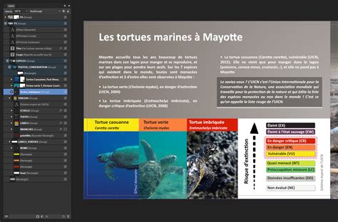 PDF Export Is Missing Bleed On One Single Spread V Bugs Found On Windows Affinity Forum