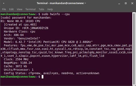 how to install hwinfo hardware information tool on ubuntu
