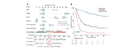 Nomograms To Predict Os For Patients With Crnens And Risk Download Scientific Diagram