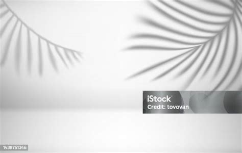 벽에 야자수 잎의 그림자가있는 밝은 인테리어 3d 벡터 일러스트 레이 션 0명에 대한 스톡 벡터 아트 및 기타 이미지 0명 3차원 형태 그림자 Istock