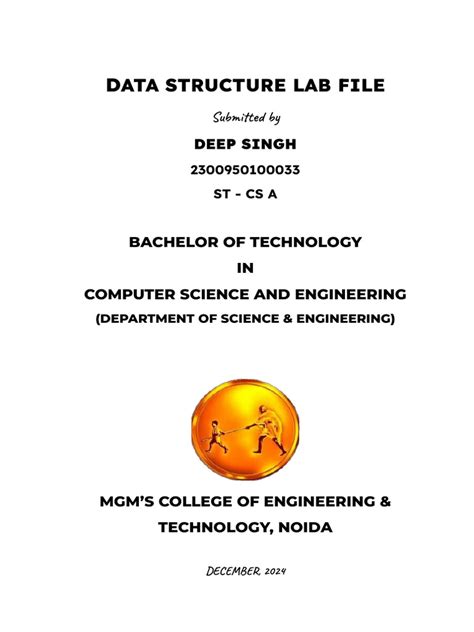 Ds Practical File Pdf Queue Abstract Data Type Computing