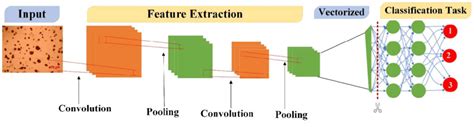 backbone of cnn for feature extractor the feature maps can be