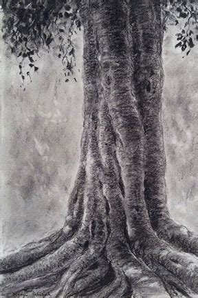 Paintings And Drawings By Manju Panchal Charcoal Drawing Of A Tree