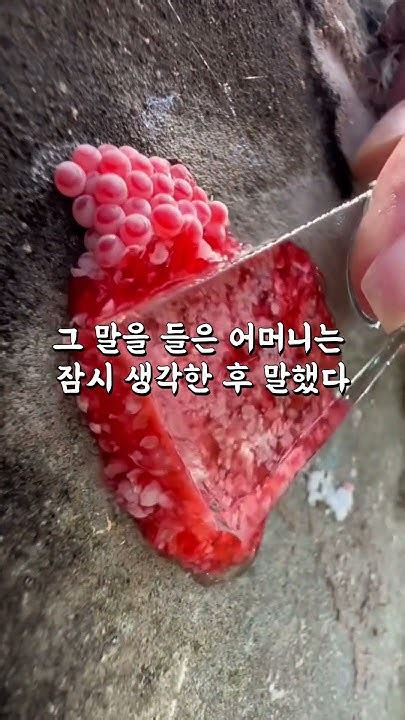 어느 병사의 전화 Youtube