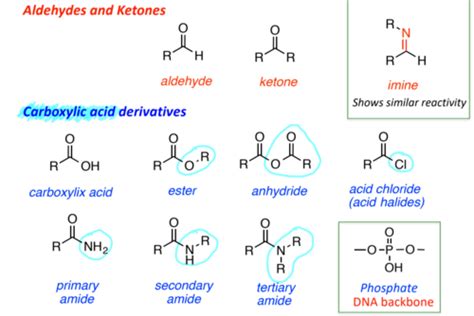 Bc1a Carbonyl Chemistry Flashcards Quizlet