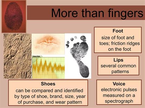 Forensics Ch 4 Notes Ppt