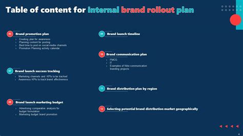 Internal Brand Rollout Plan Powerpoint Presentation Slides Branding Cd