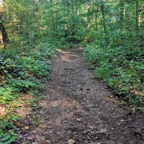 Ridge Trail Hiking Trail Maps Difficulty Trail Status Onx