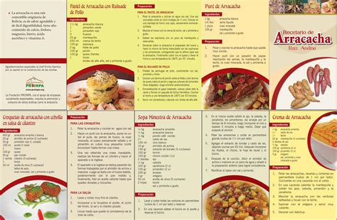 Pdf Recetario De Arracacha Raiz Andina Dokumen Tips