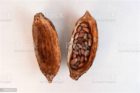 흰색 배경에 콩코코아 카카오 포드 제과 성분 맨 위 보기입니다 공간을 복사합니다 컷아웃에 대한 스톡 사진 및 기타 이미지 컷아웃 0명 가루 설탕 Istock