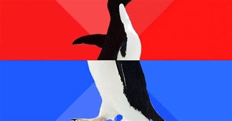 I Probably Drink Too Much Meme On Imgur