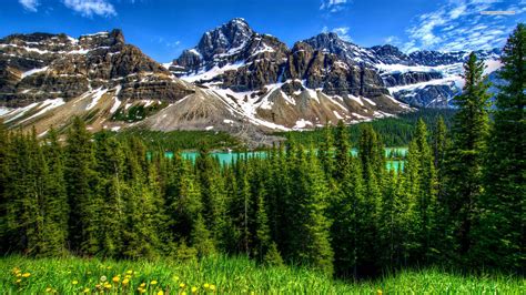 Nature Computer Backgrounds 51 Images