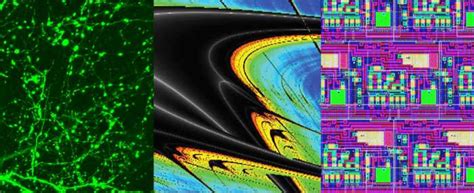 Master Neural Systems And Computation Eth Zürich