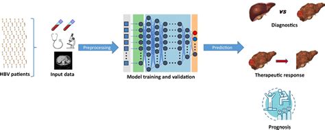 Hepatocellular Carcinoma Risk Prediction By Artificial Intelligence And Download Scientific