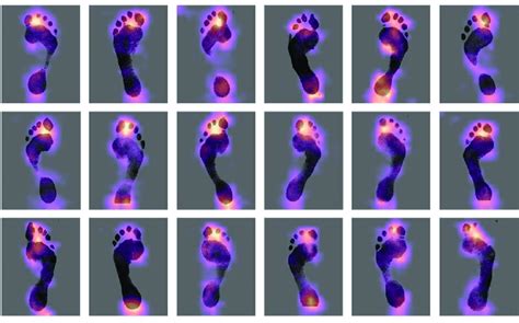 Grad Cam Heatmaps For Textured Inputs With The Lowest Entropy Losses