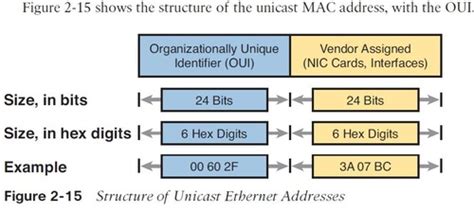 Ethernet Lan And Switching Flashcards Quizlet