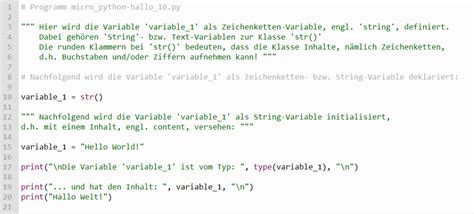 Programmieren Mit Micropython Teil 1