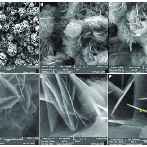 Sem Images Representing Different Magnifications Of Zno Nanoflowers Download Scientific Diagram