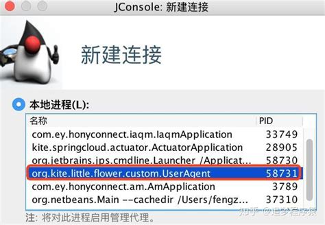 面试官问我 jmx 了解不，我说：什么？ 知乎
