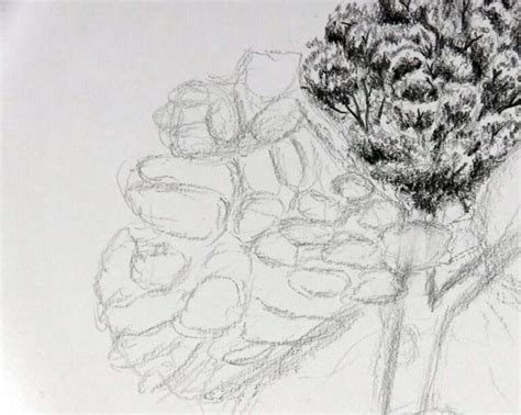 How To Draw A Tree With Leaves In A Surprisingly Familiar Way Let S Draw Today