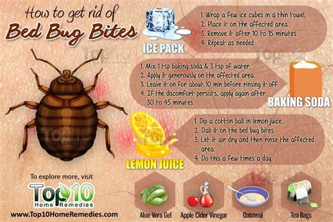 How To Get Rid Of Bed Bug Bites Page 2 Of 3 Top 10 Home Remedies