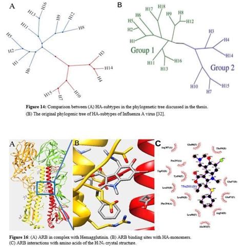Alhassan Ali Ahmed On Linkedin Bioinformatics Influenza Docking Virus Python
