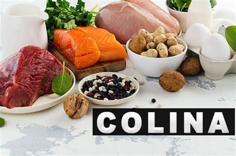 Entenda O Que é Colina E A Importância Para O Fígado Unicpharma Blog