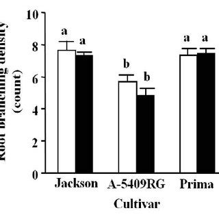 Soybean Root System Architecture Schematic Representation Of The Download Scientific Diagram