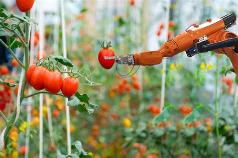 Pittsburgh Based Four Growers Secures 9m To Scale Autonomous Greenhouse Harvesting Robots