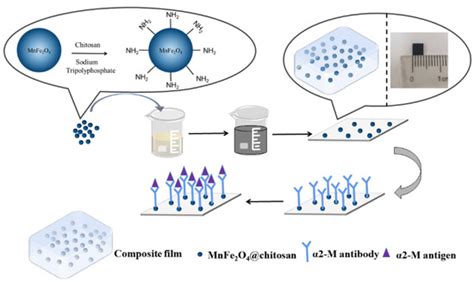 Highly Sensitive Magnetoelastic Biosensor For Alpha2 Macroglobulin