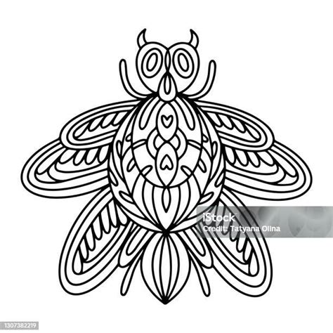 딱정벌레 곤충 색칠 공부책 알파인 바벨 딱정벌레 선형 벡터 일러스트레이션 성인과 어린이를위한 스트레스 방지 색칠 공부책 손으로