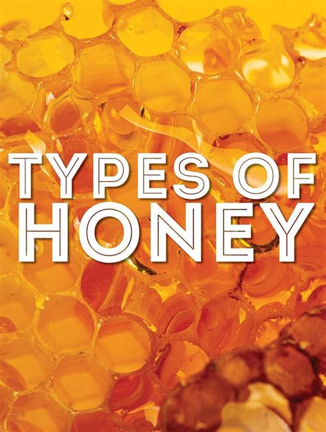 29 Types Of Honey A Comprehensive Guide