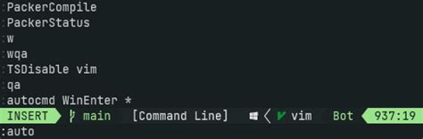 No Syntax Highlighting In Command Window R Neovim