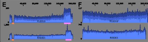 Indication Of Genomic Rearrangement By Examination Of Read Mapping A
