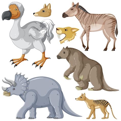 Premium Vector Collection Of Extinct Animals