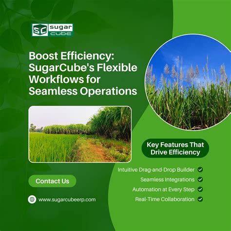 Sugarcube Boostefficiency Workflowautomation Operationalexcellence Businessoptimization
