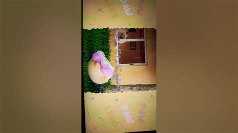 6 Februari 2025 Youtube