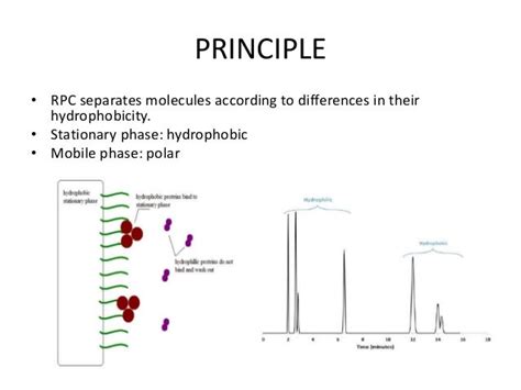 Reverse Phase Chromatography