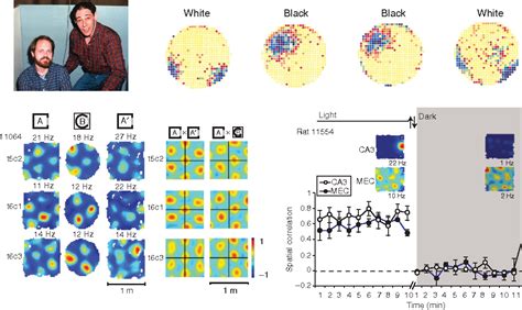 Figure 3 From Place Cells Grid Cells And Memory Semantic Scholar