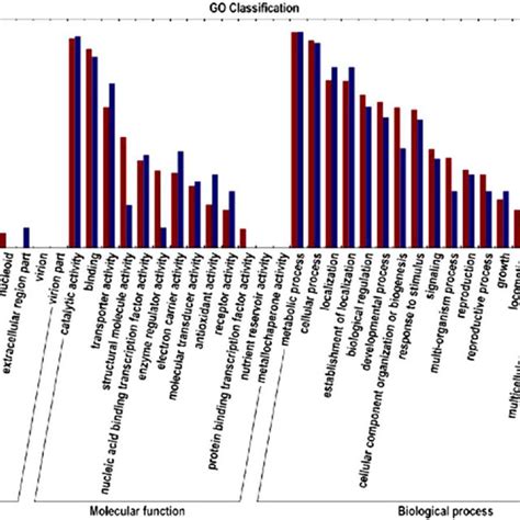Functional Annotation Of The Differentially Expressed Genes Based On Go