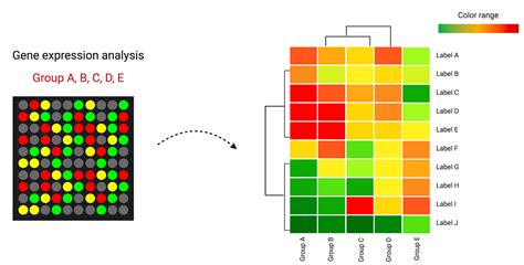 How To Use The Seaborn Library To Compare Categorical Variables By